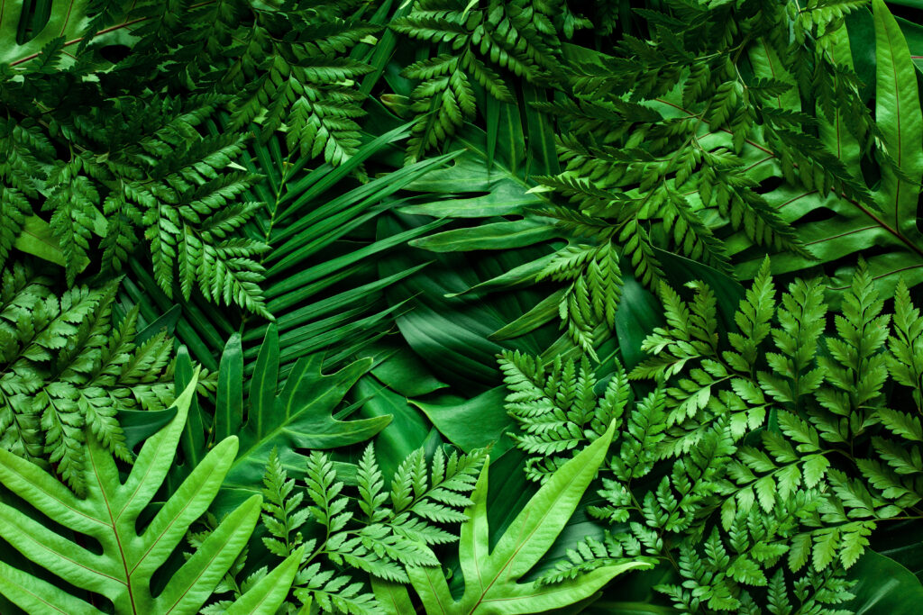 Activity: The Job Jungle - A Labor Market Game* - Foundation For ...