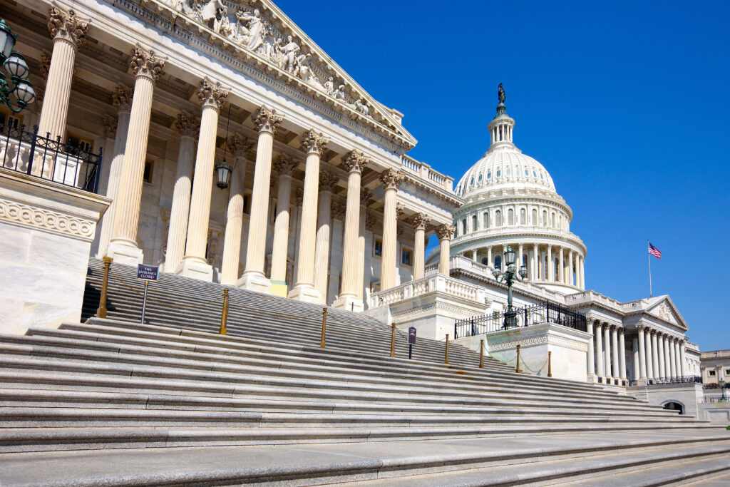 Lesson 8: Setting the Rules - Costs and Benefits of Government Action ...